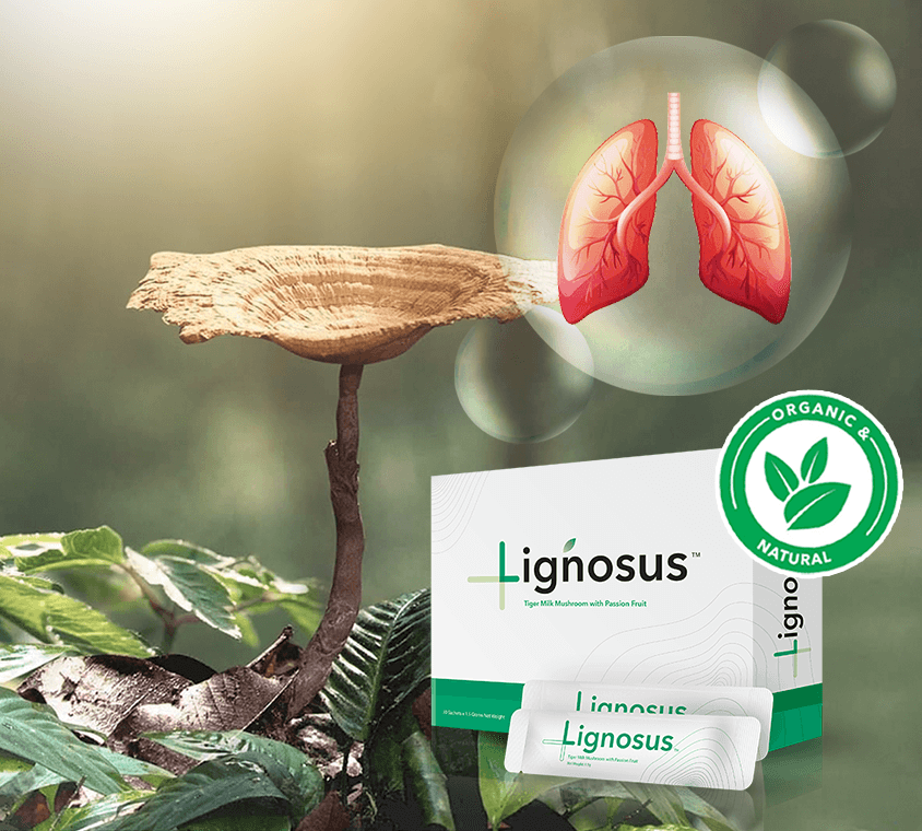 Lignosus Swedish - Det bedste naturlige supplement til sundhed i luftvejene