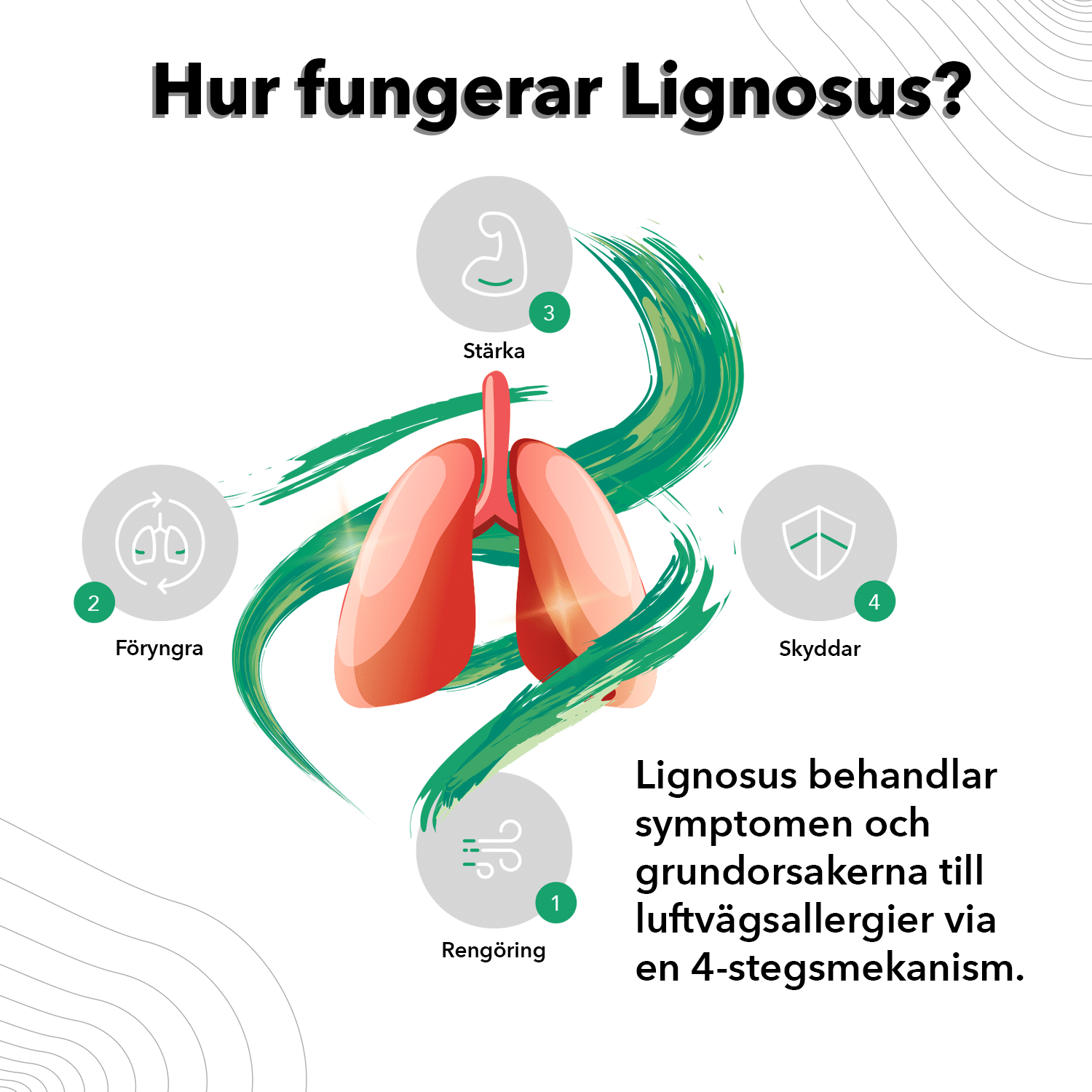 Bedste naturlige respiratoriske sundhedstilskud - Lignosus